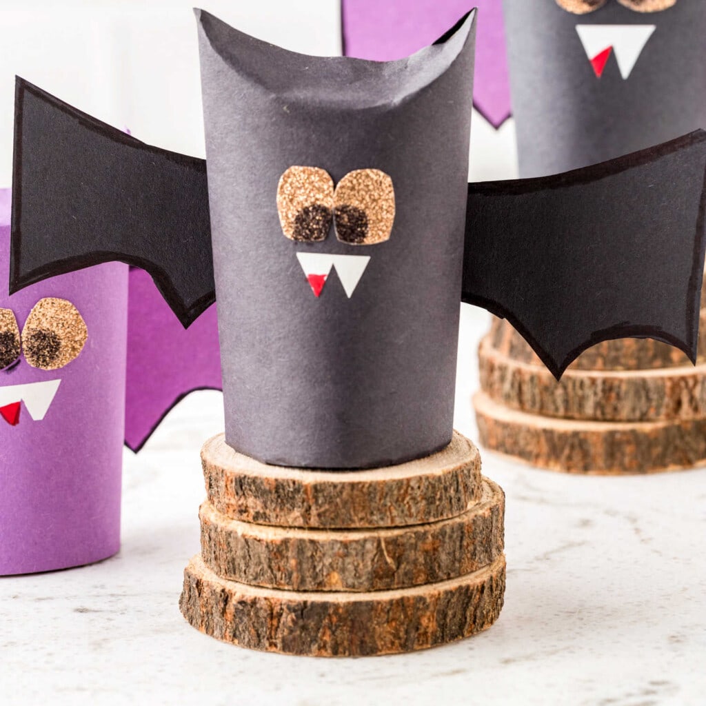 Paper Towel Roll Bat Craft - Kids Activity Zone