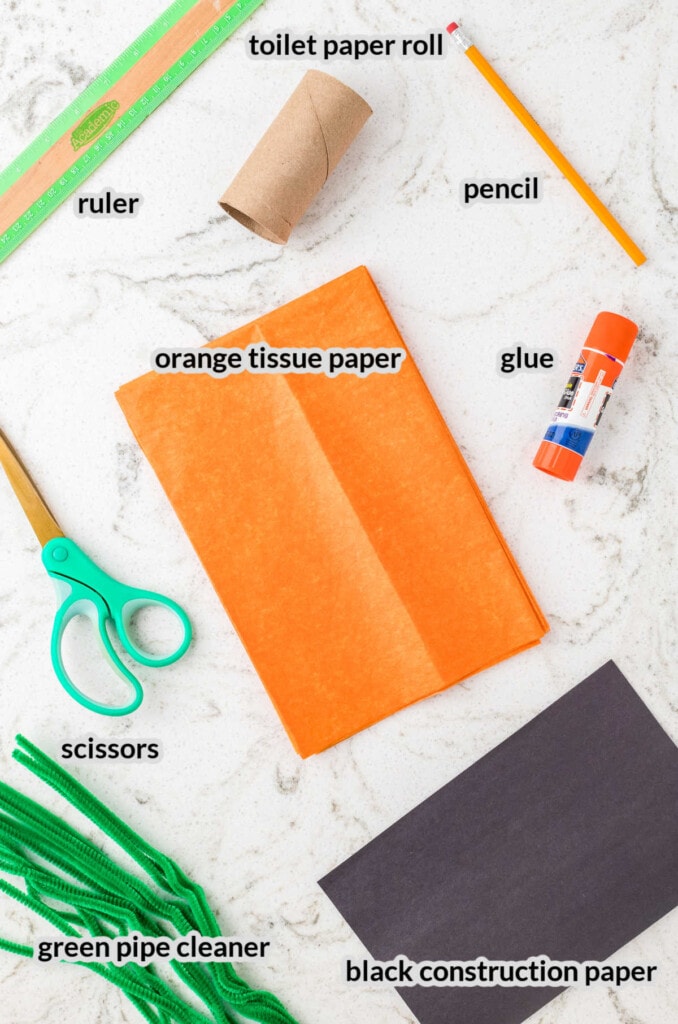 Toilet Paper Roll Pumpkin Craft - Kids Activity Zone
