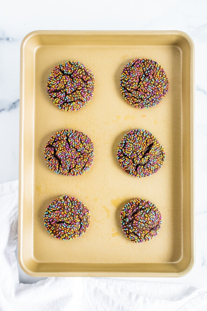 Chocolate Sprinkle Cookies - Kids Activity Zone