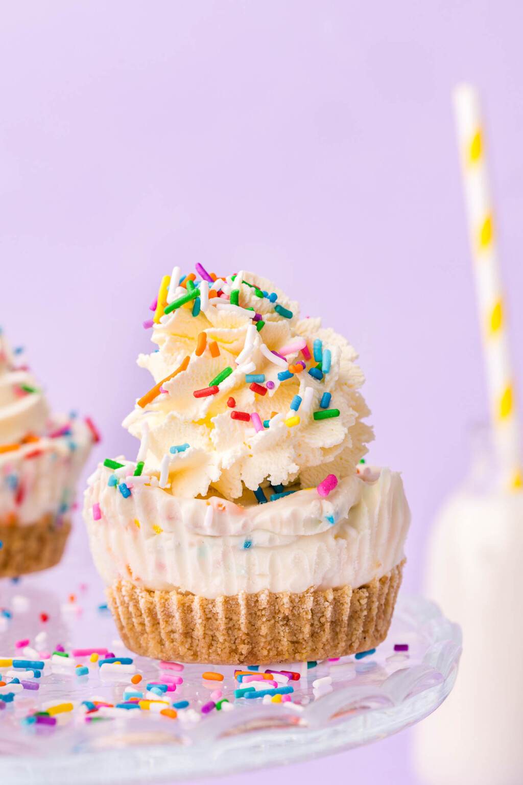 Mini Funfetti Cheesecakes - Kids Activity Zone