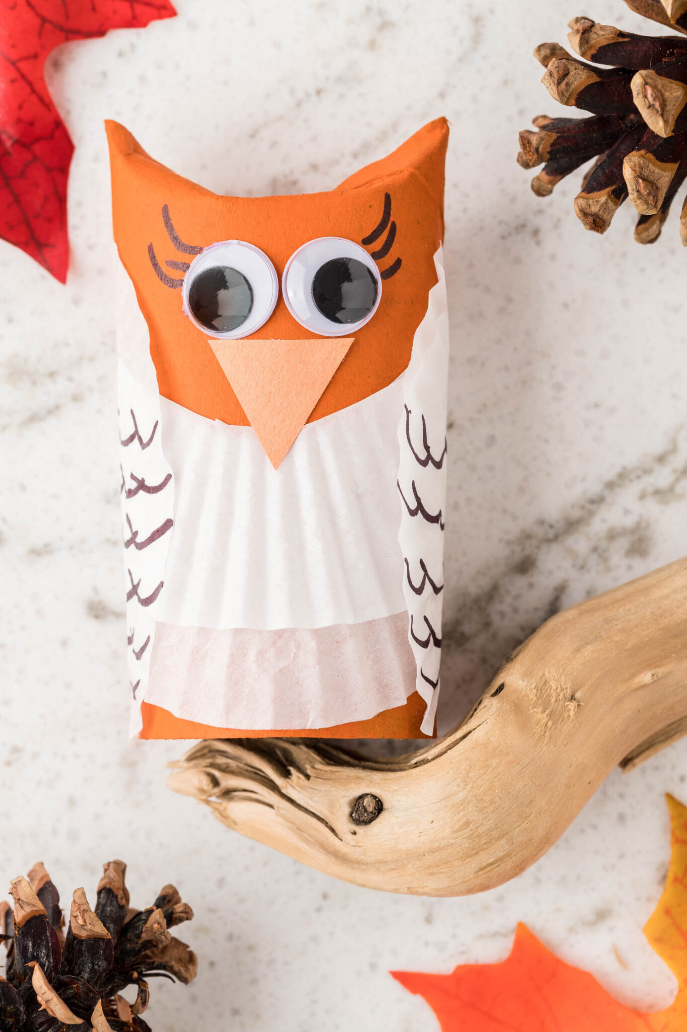 Toilet Paper Roll Owl Craft - Kids Activity Zone