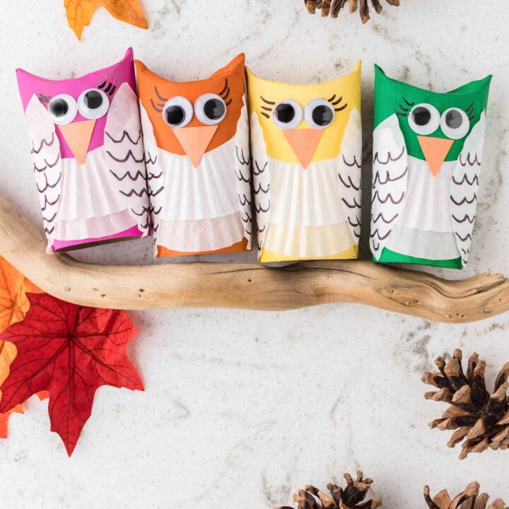Toilet Paper Roll Owl Craft - Kids Activity Zone