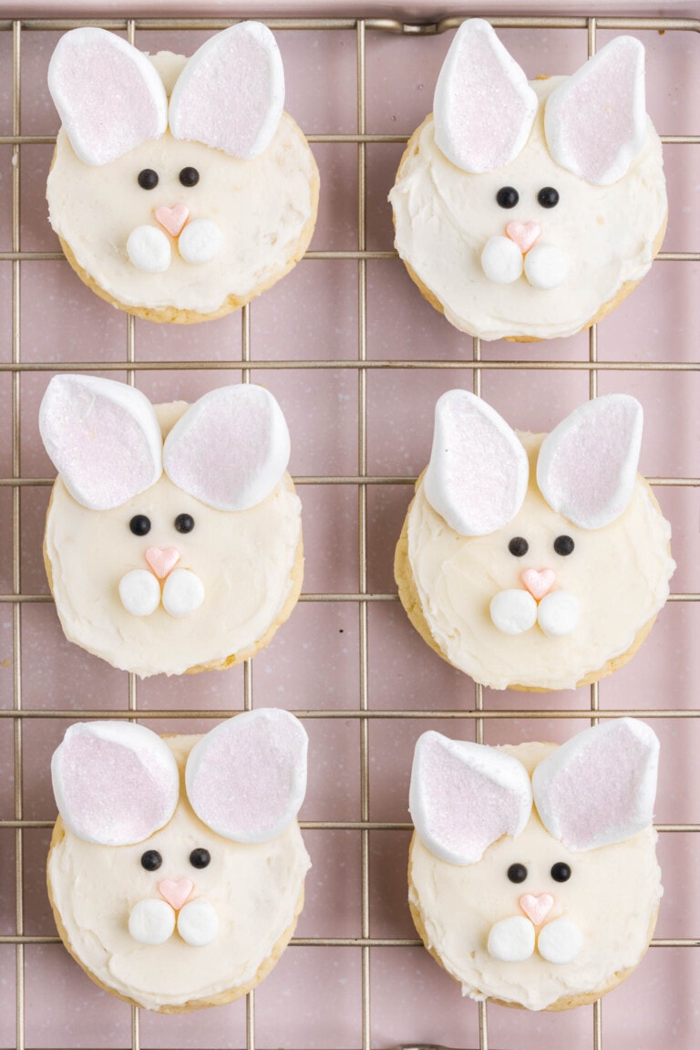 Bunny Face Cookies - Kids Activity Zone