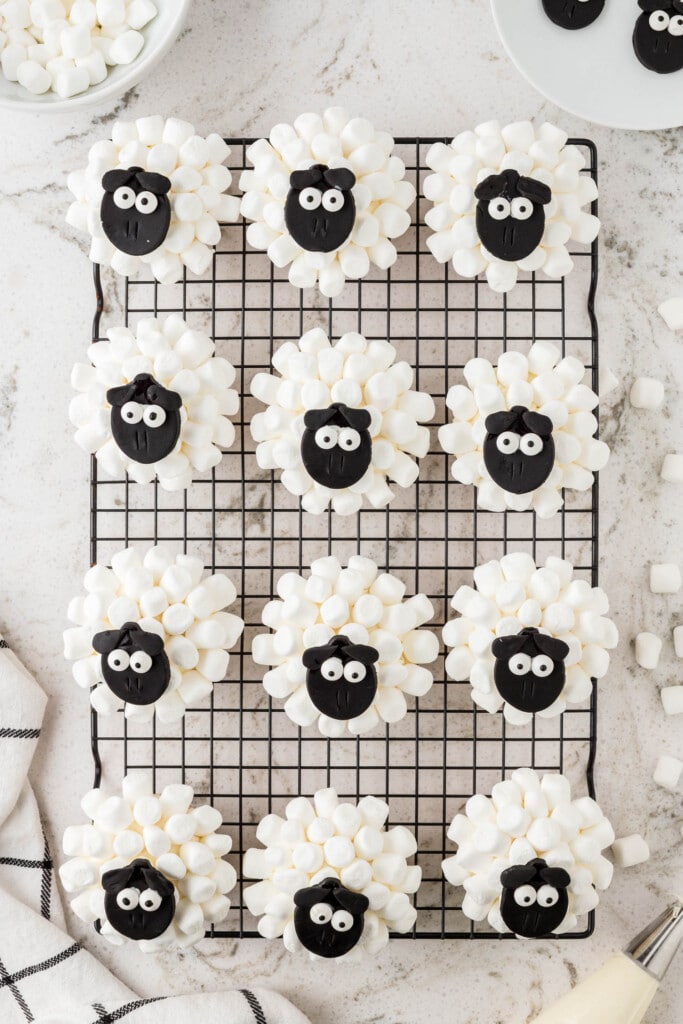 Sheep Cupcakes - Kids Activity Zone