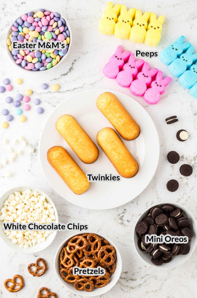Twinkie Bunny Cars - Kids Activity Zone