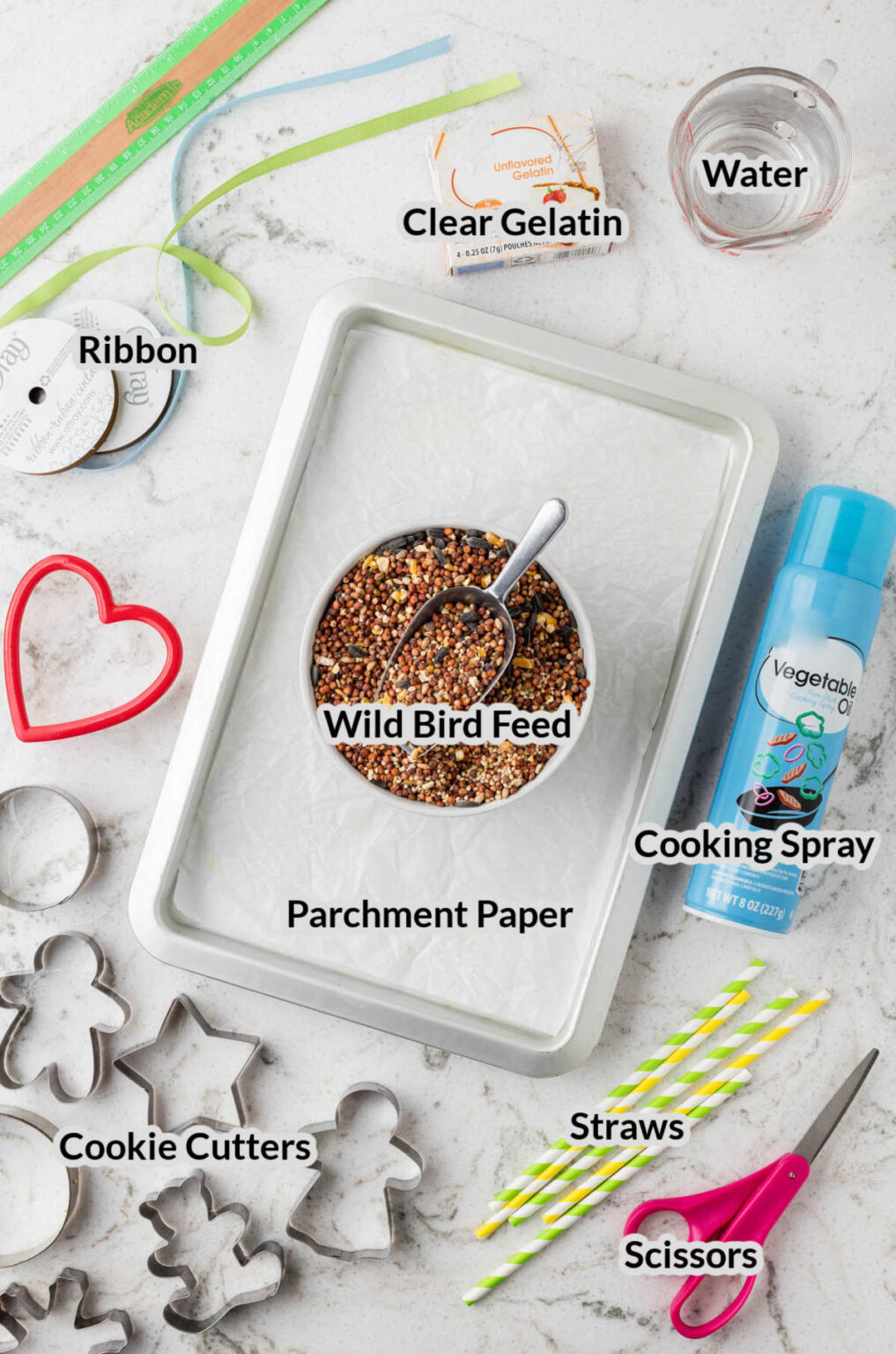 Bird Feeder Craft - Kids Activity Zone