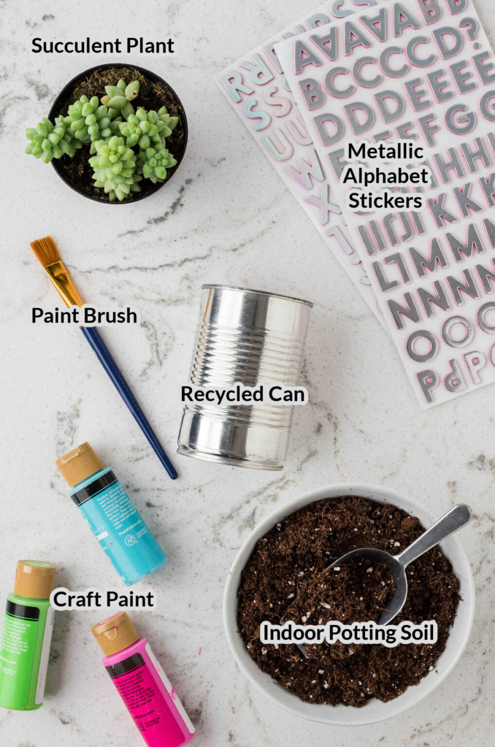 Tin Can Planters - Kids Activity Zone
