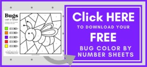 Bug Color By Number - Kids Activity Zone