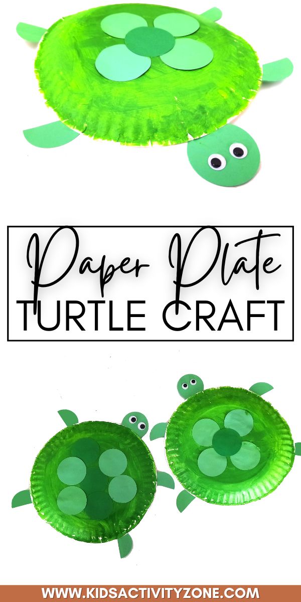Paper Plate Turtle Craft - Kids Activity Zone