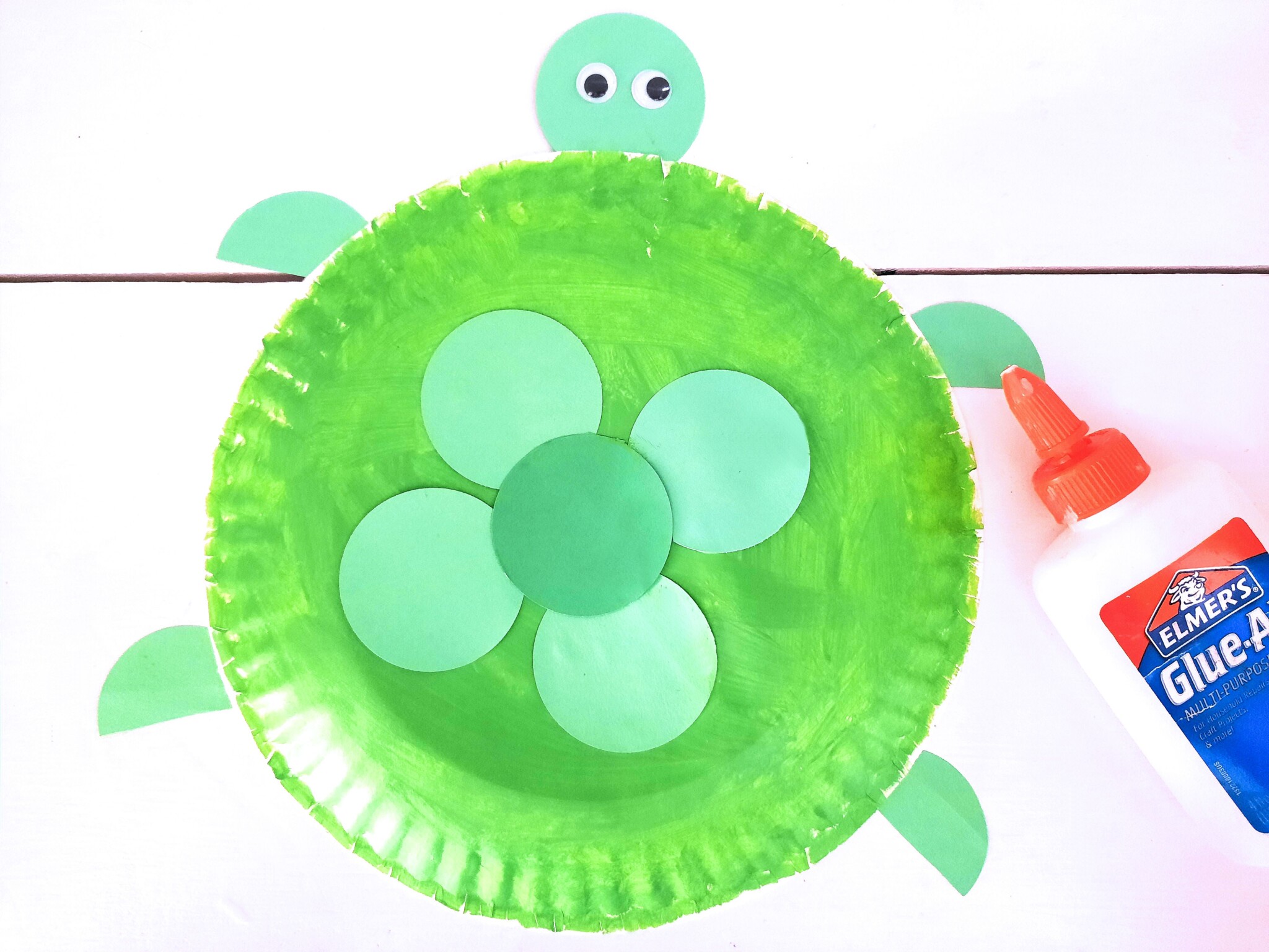 Paper Plate Turtle Craft - Kids Activity Zone