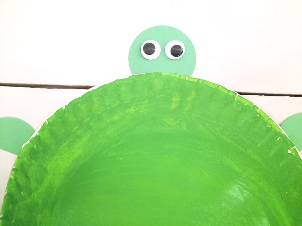 Paper Plate Turtle Craft - Kids Activity Zone