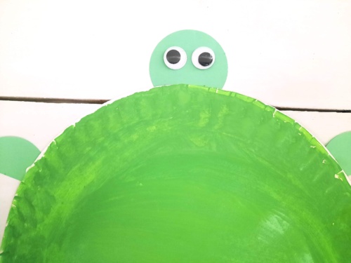 Paper Plate Turtle Craft - Kids Activity Zone