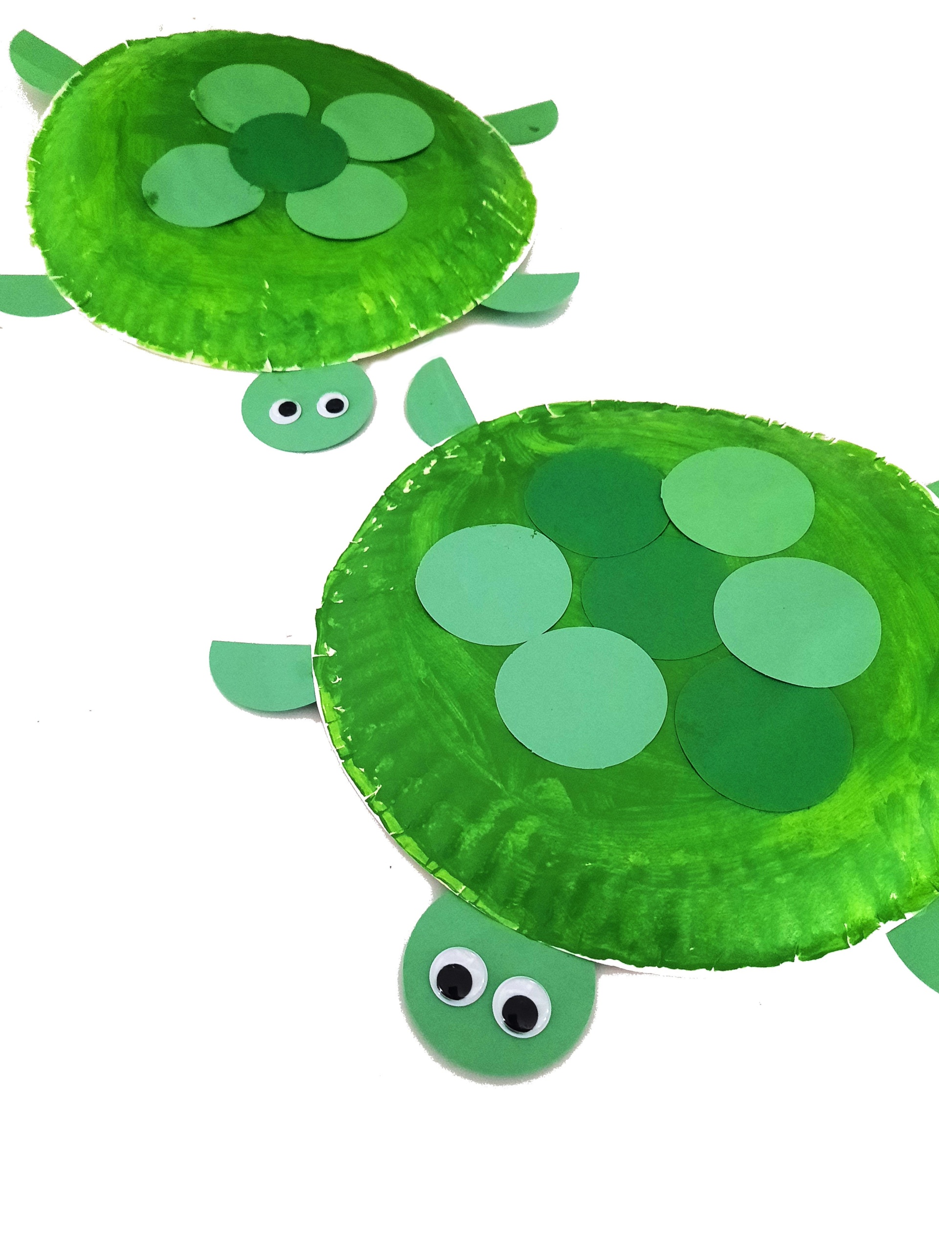 How To Make Tortoise With Paper Plate Tortoise / Turtle Paper Craft
