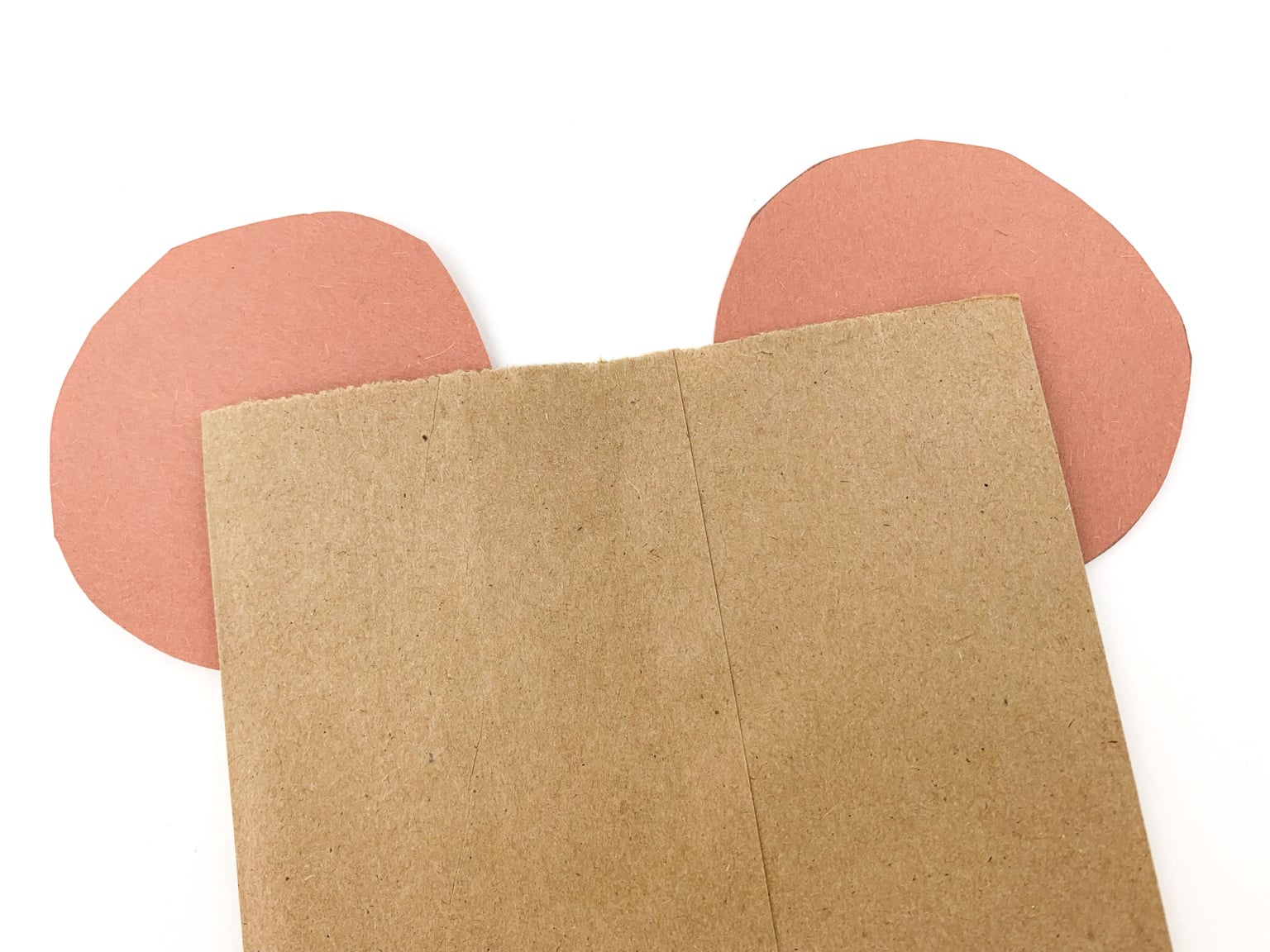 Brown Bear Paper Bag Craft - Kids Activity Zone