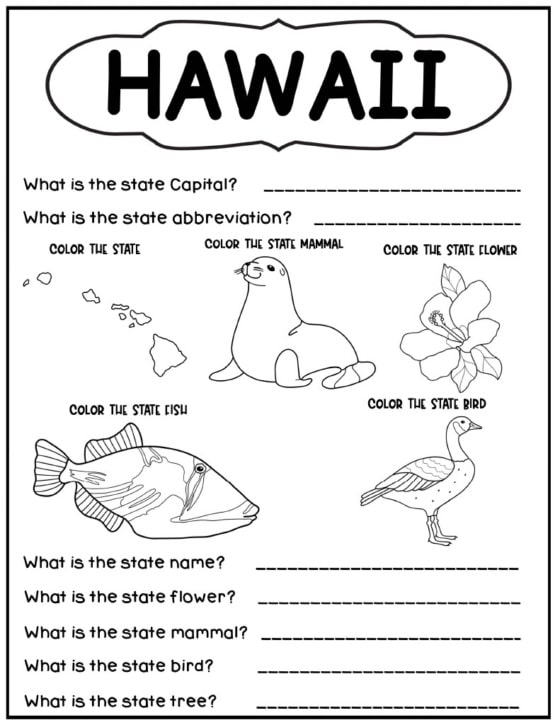States and Capitals Worksheets - Kids Activity Zone