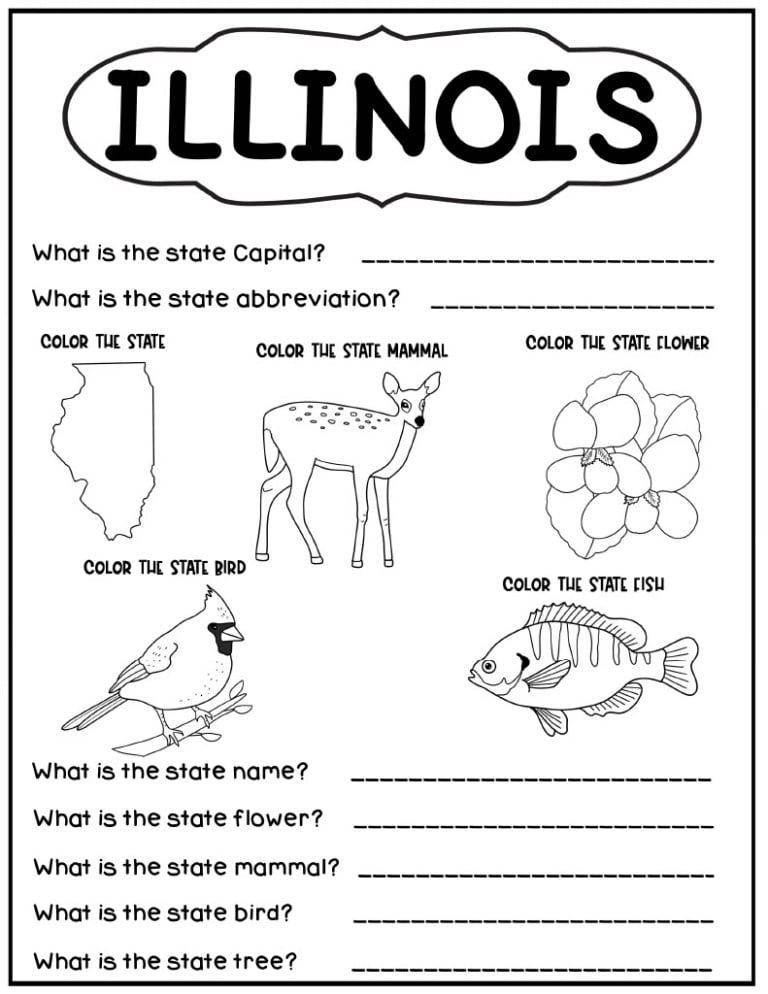 States and Capitals Worksheets - Kids Activity Zone