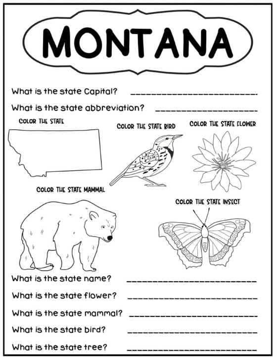 States and Capitals Worksheets - Kids Activity Zone