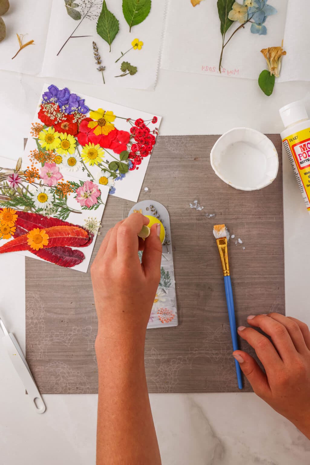 DIY Dried Flower Bookmarks - Kids Activity Zone