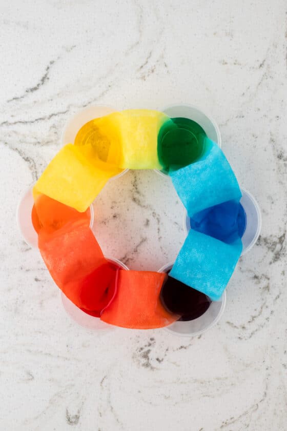 Walking Water Experiment (Easy Rainbow Water Science for Kids) - Kids ...