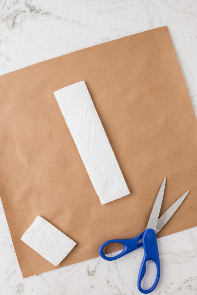 Walking Water Experiment - Kids Activity Zone