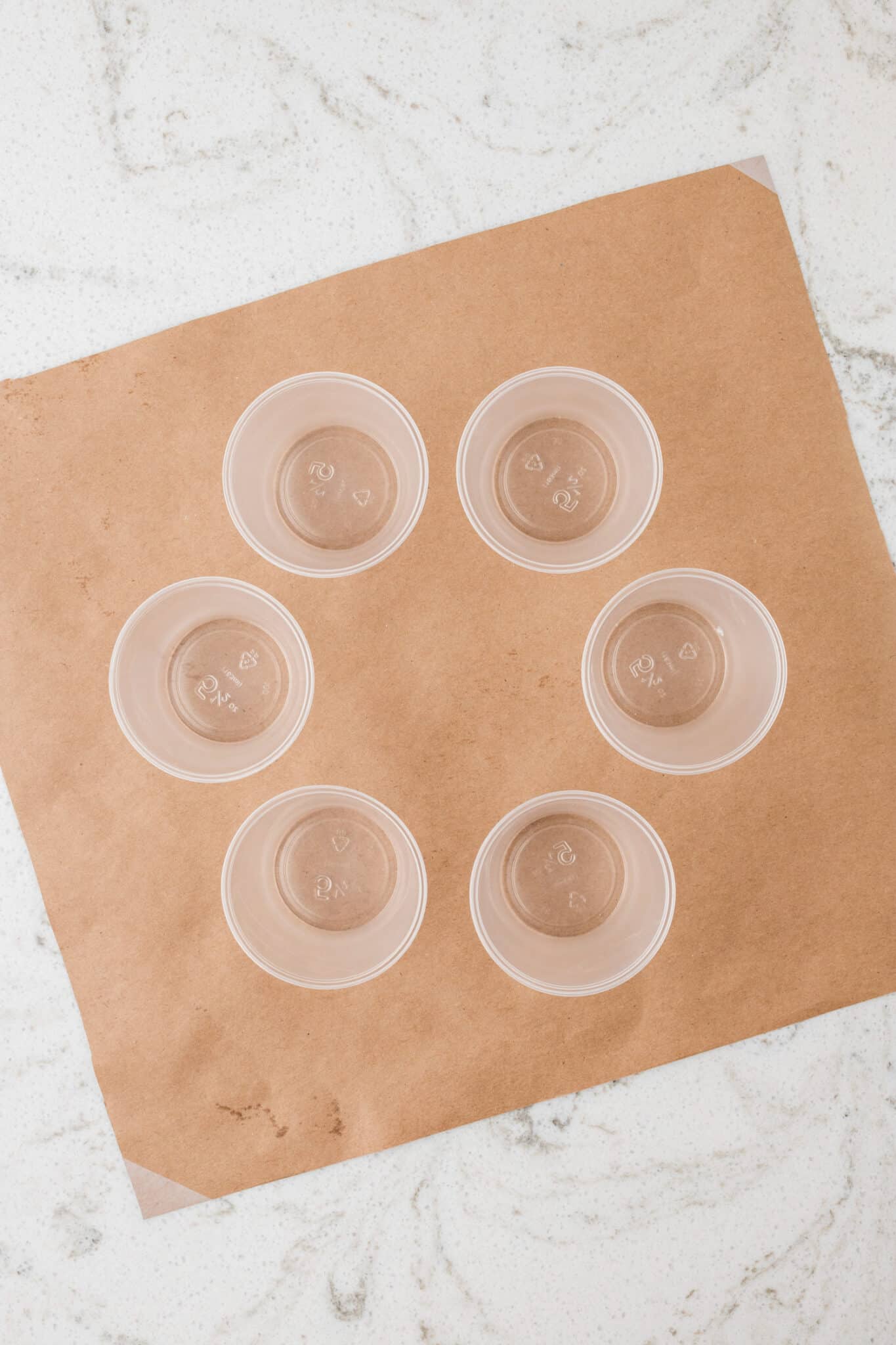 Walking Water Experiment - Kids Activity Zone