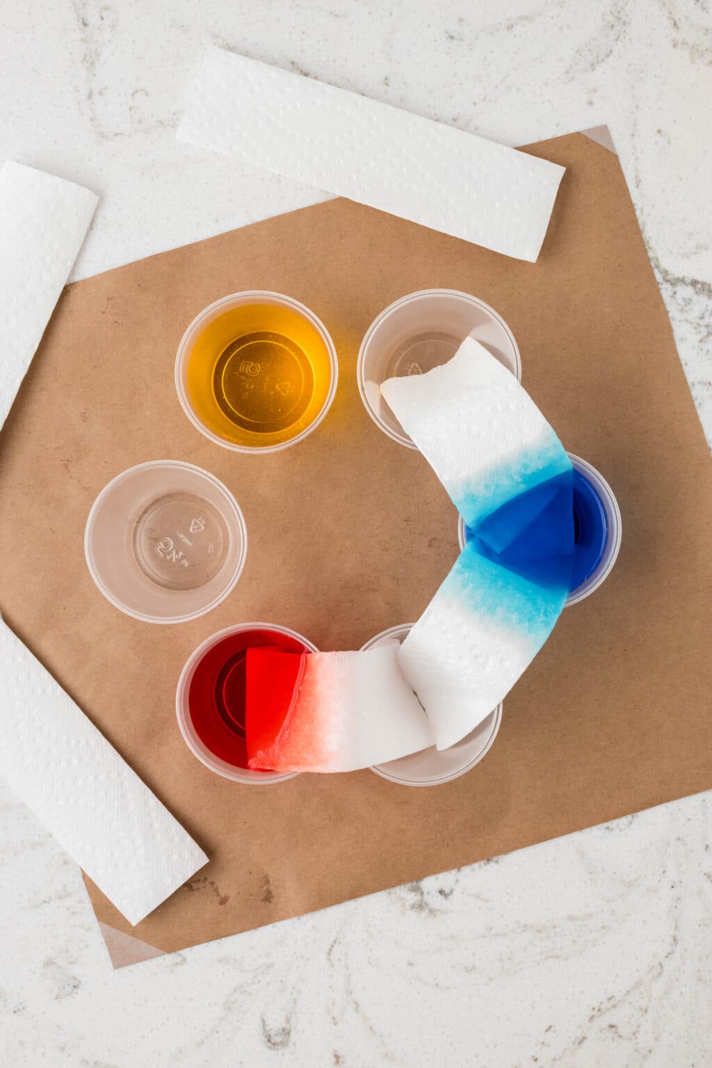 Walking Water Experiment - Kids Activity Zone