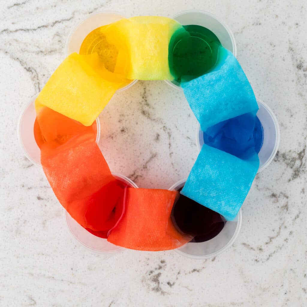 Walking Water Experiment (Easy Rainbow Water Science for Kids) - Kids ...