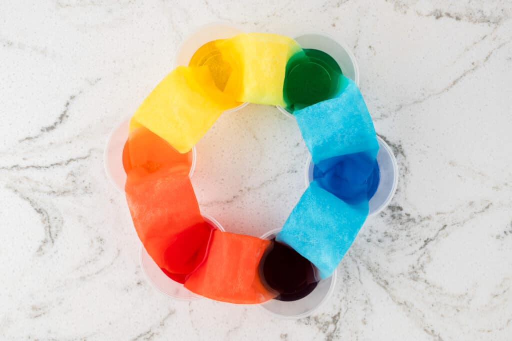 Walking Water Experiment (Easy Rainbow Water Science for Kids) - Kids ...