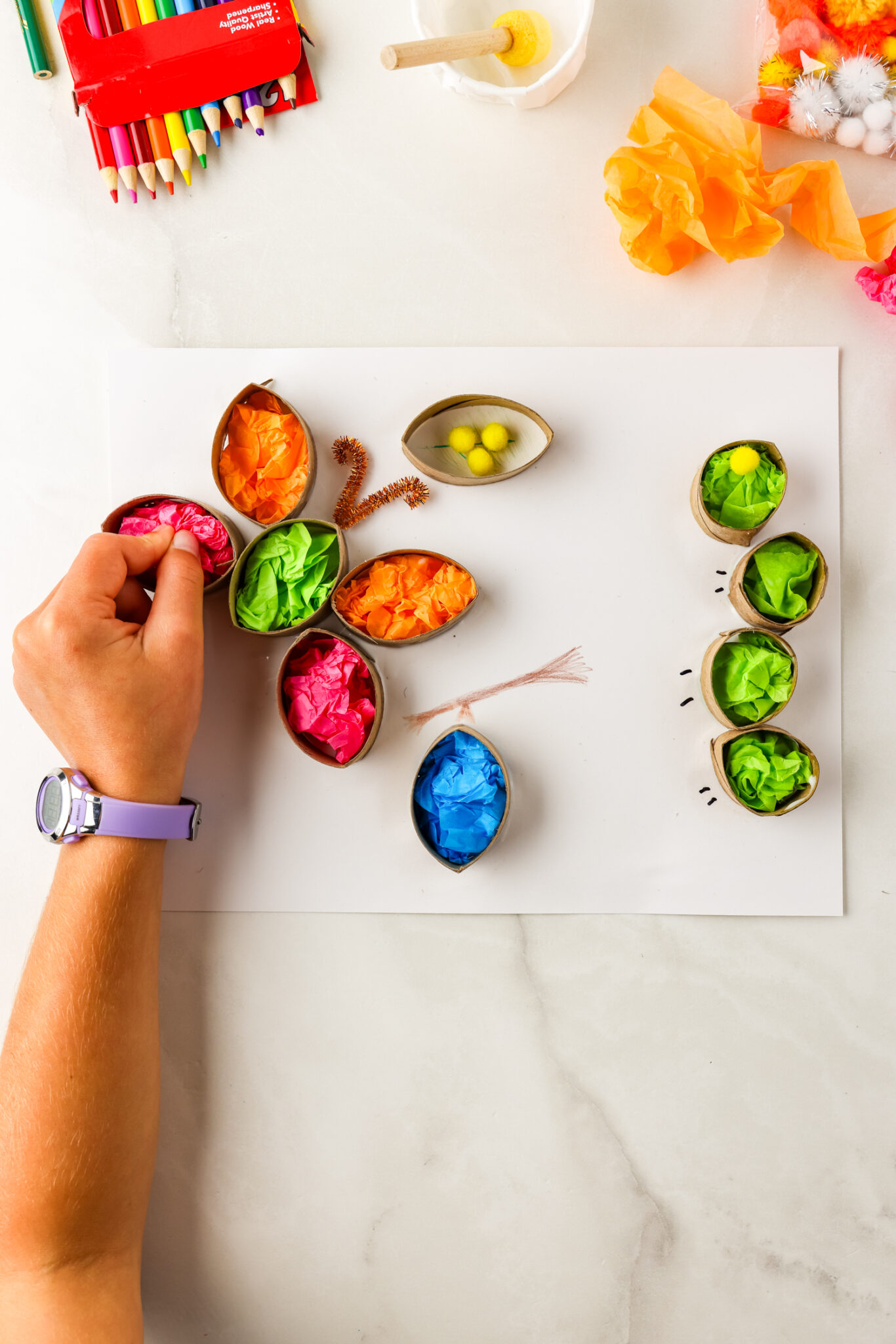 Butterfly Life Cycle Craft - Kids Activity Zone