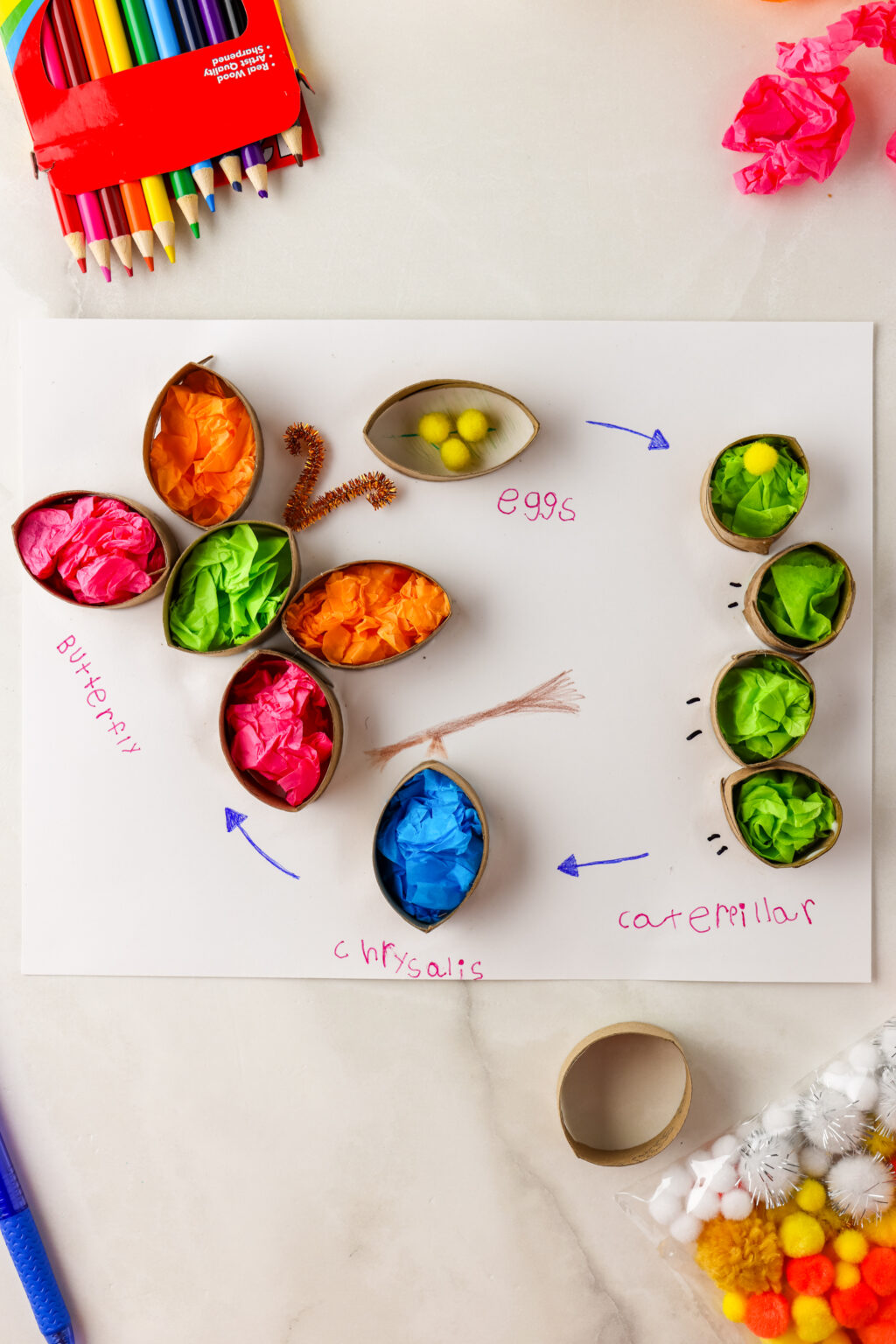 Butterfly Life Cycle Craft - Kids Activity Zone