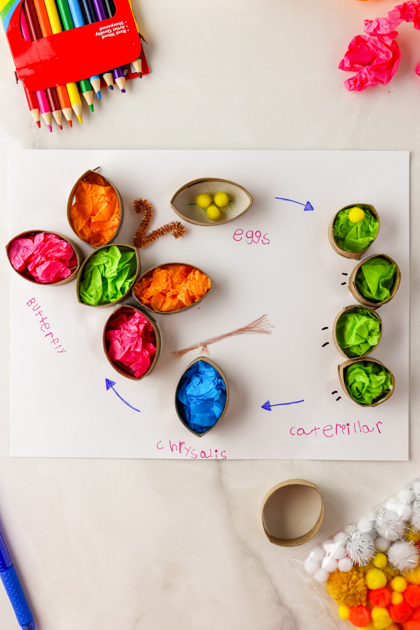 Butterfly Life Cycle Craft - Kids Activity Zone