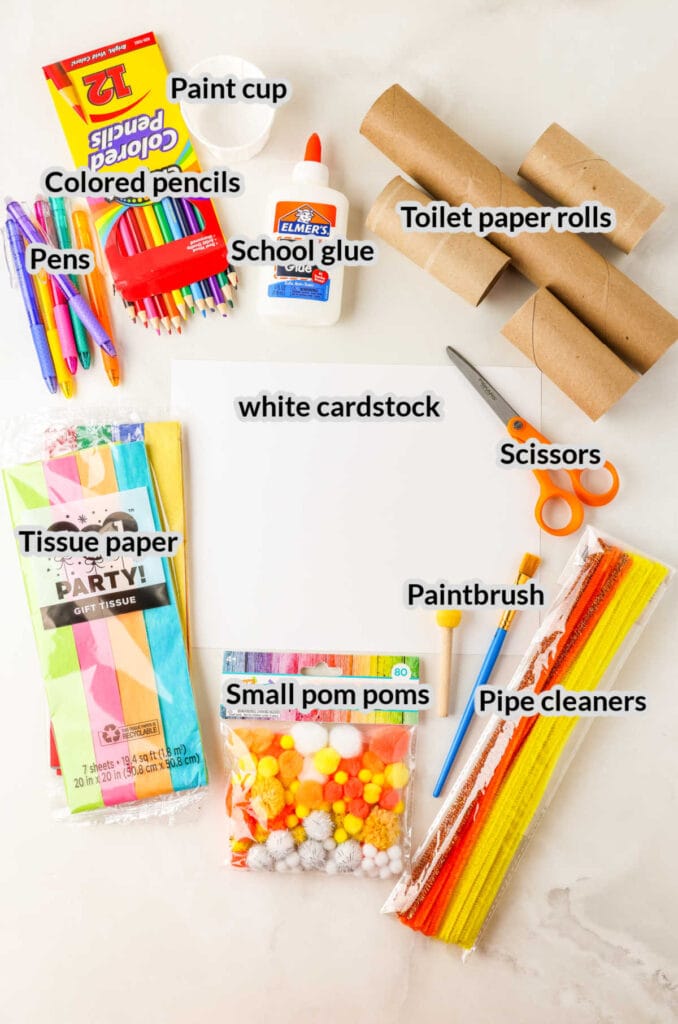 Butterfly Life Cycle Craft - Kids Activity Zone