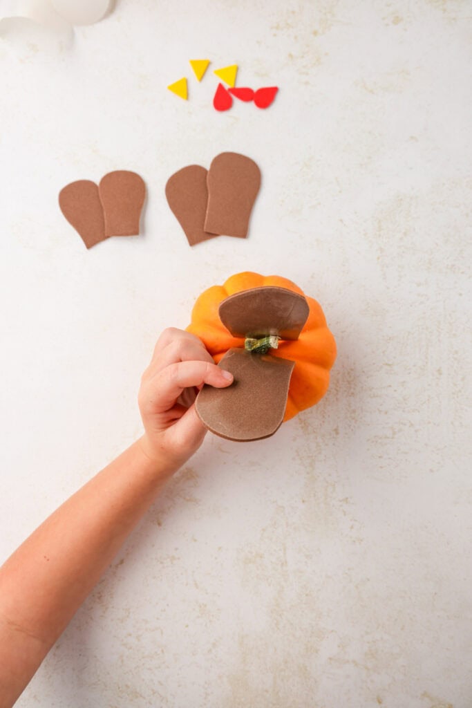 Mini Pumpkin Turkey Craft - Kids Activity Zone