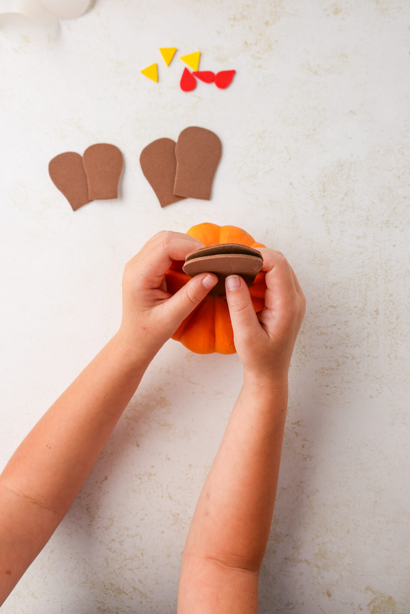 Mini Pumpkin Turkey Craft - Kids Activity Zone