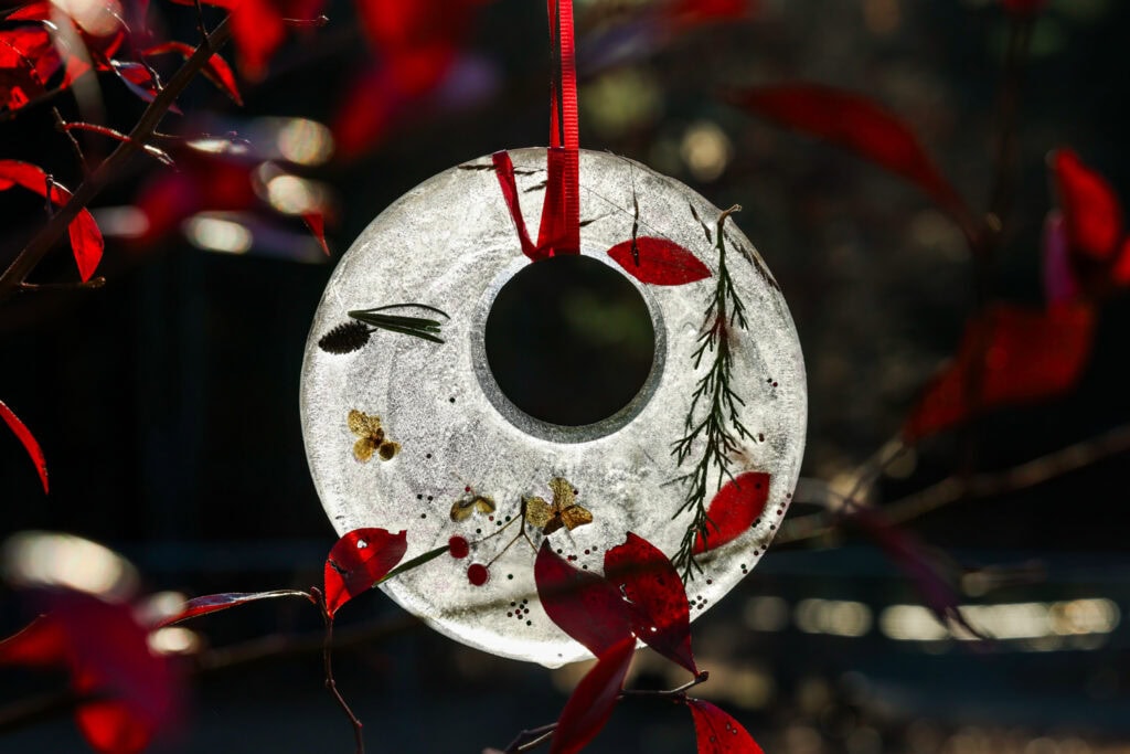 How To Make Ice Suncatchers: A Fun Winter Craft For Kids - Kids ...