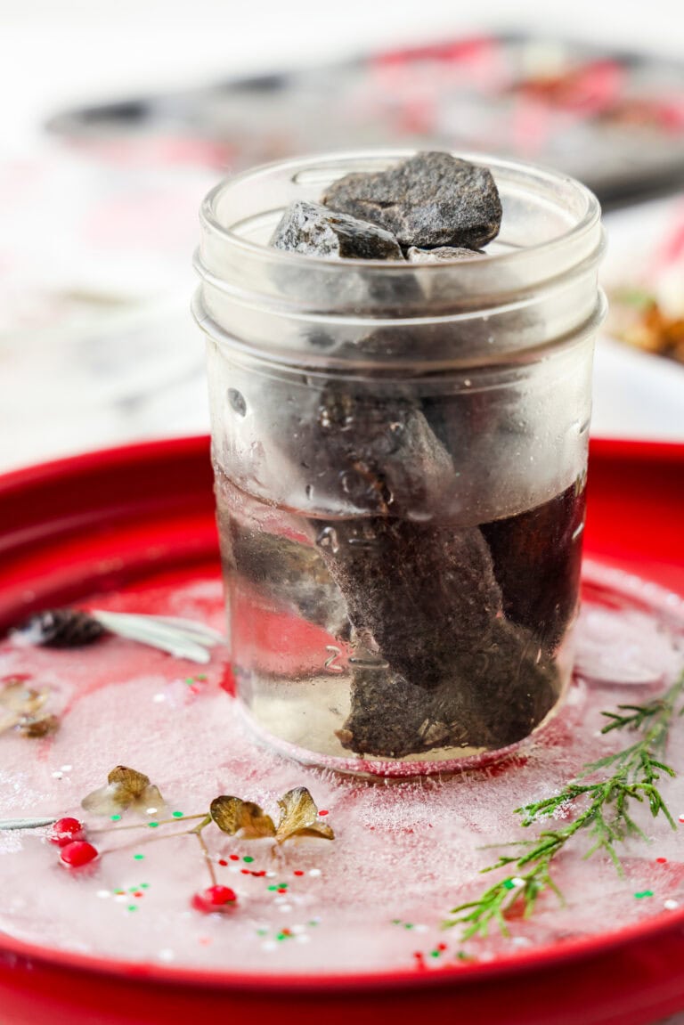 How To Make Ice Suncatchers: A Fun Winter Craft For Kids - Kids ...