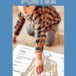 Giant Skeletal System Printable Poster - Kids Activity Zone
