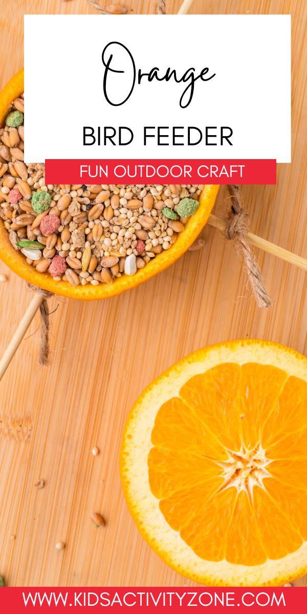 Orange Bird Feeder - Kids Activity Zone